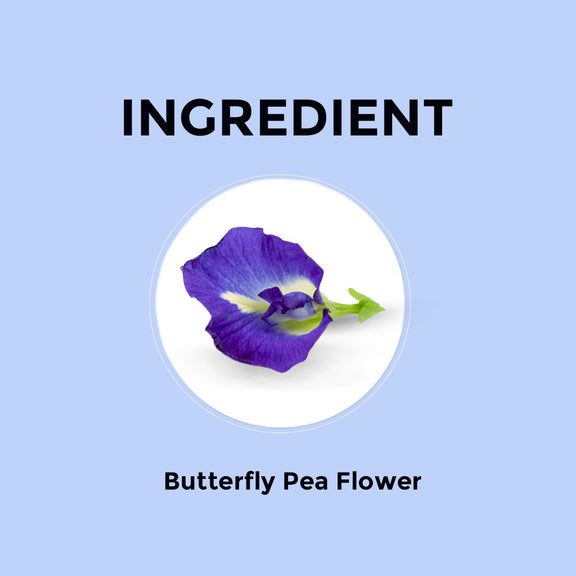 Butterfly Pea Flower Herbal Infusion - 200 Teabags – Blue Tea | Health ...